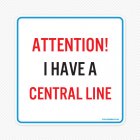 Central Line Wall Graphic | Sticker Genius