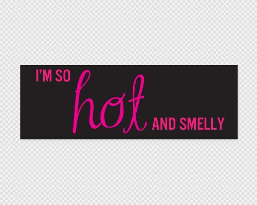 Hot Car Sticker | Sticker Genius