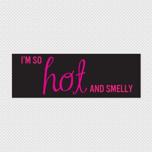 I'm So Hot Quote Bumper Sticker | Sticker Genius