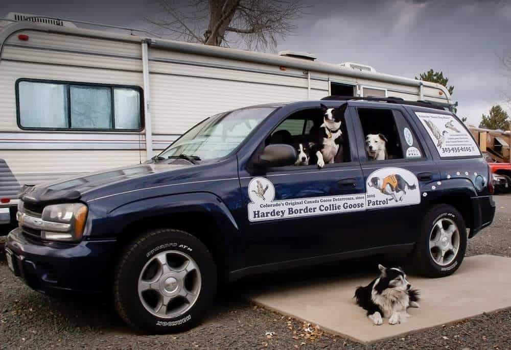 Affordable By the Piece Car Decals for Sale | Sticker Genius